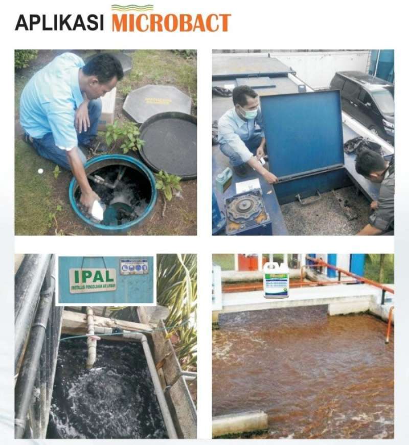 Promo Bakteri Pengurai Limbah Microbact Anaerob Powder 1 Kg Diskon 23% ...