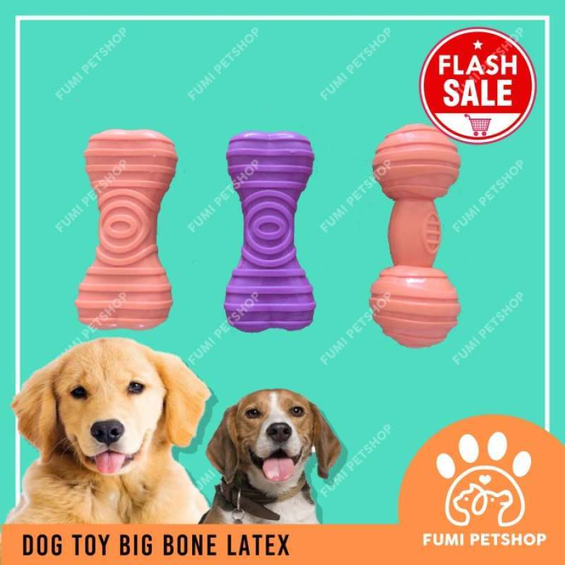 Promo Mainan Anjing Big Bone Latex [ Gigitan Anjing ] Diskon 23% Di ...