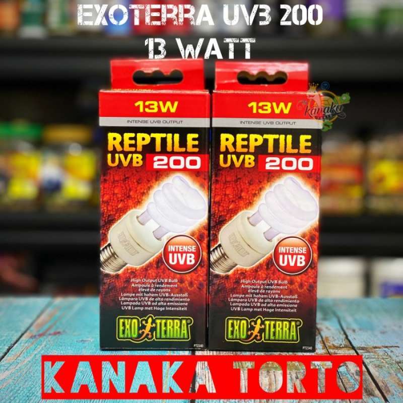 Promo Exo Uvb 200 13 Watt Lampu Uvb Reptile Kura Torto Sulcata Pardalis Diskon 23% Di Seller ...