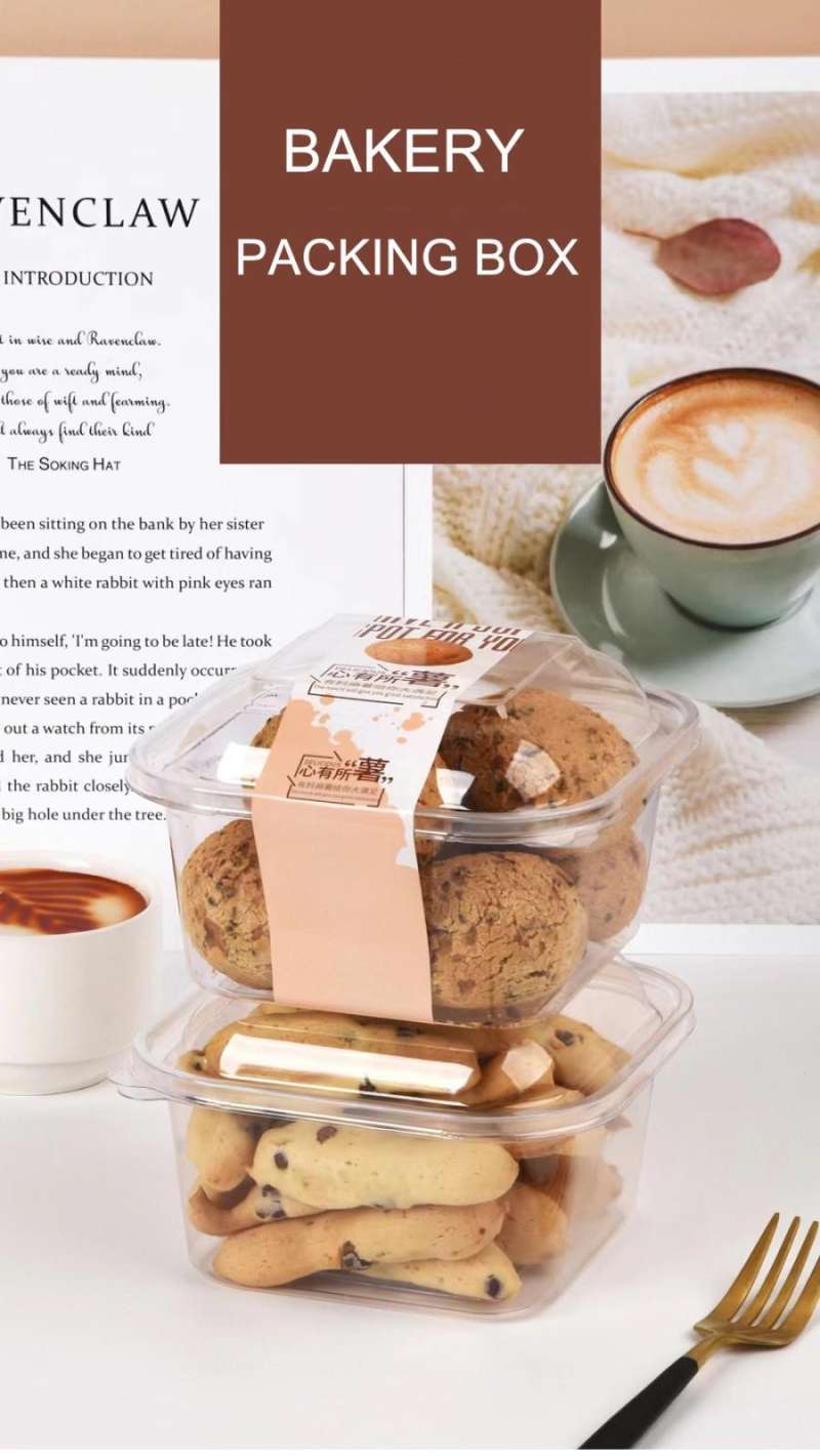 Jual Sb18 10 Sets Premium Korean Cookies Box Food Grade Kotak Biskuit ...