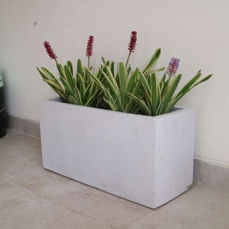 Jual Planter Box 💯 Harga Murah & Kualitas Terbaik Juni 2026