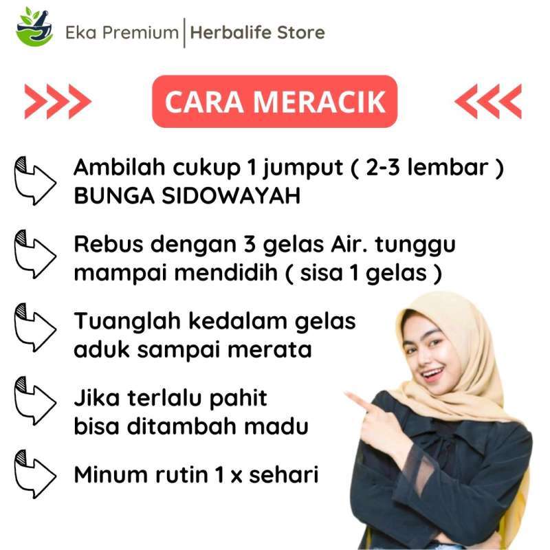Promo Bunga Sidowayah Kering Kembang Sidawayah Asli Ramuan Rempah Teh ...