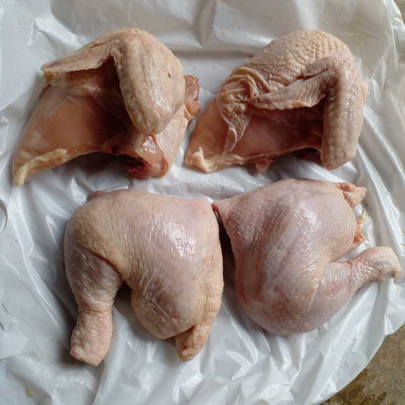 Jual Ayam Broiler Frozen Ukuran 1 Sd 1.1kg/ayam Negeri/ayam Murah ...