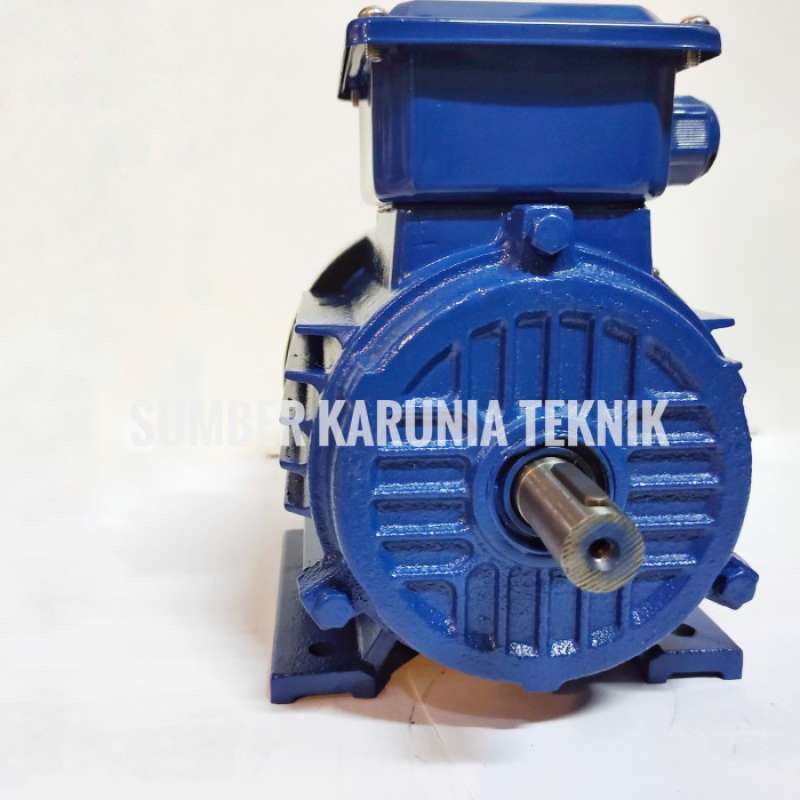 Promo 2HP 3Phase Dinamo/Dynamo/Elektro Motor/Electro Motor 1000rpm Yuema Diskon 33% di Seller ...