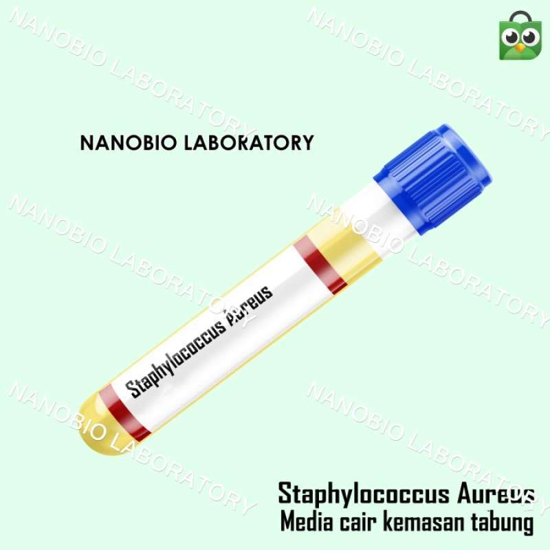 Promo Isolat Culture Staphylococcus Aureus Media Cair 100Ml Diskon 23% ...