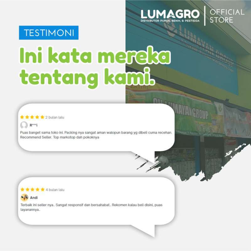 Jual Benih Cabe Rawit Absolut 69 10gr Cabai Unggul Tahan Virus Penyakit ...