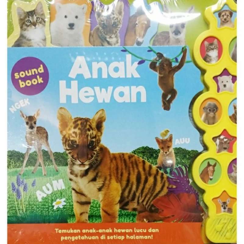 Promo Buku Big Sound Book: Anak Hewan Kendaraan Alat Musik Kebun ...