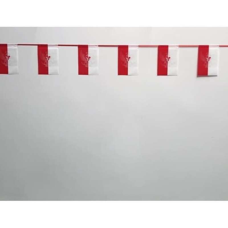 Promo Promo Bendera Merah Putih Garuda / 17 Agustus / 17An / Hut Ri ...