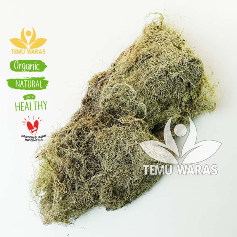 Jual Akar Angin atau Tahi Angin Kering 1 kg Organik dan Bersih di ...