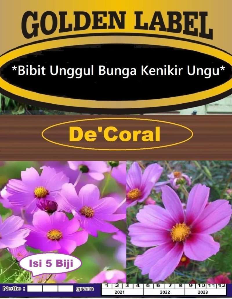 Jual Bunga Kenikir 💯 Harga Murah & Kualitas Terbaik Januari 2026