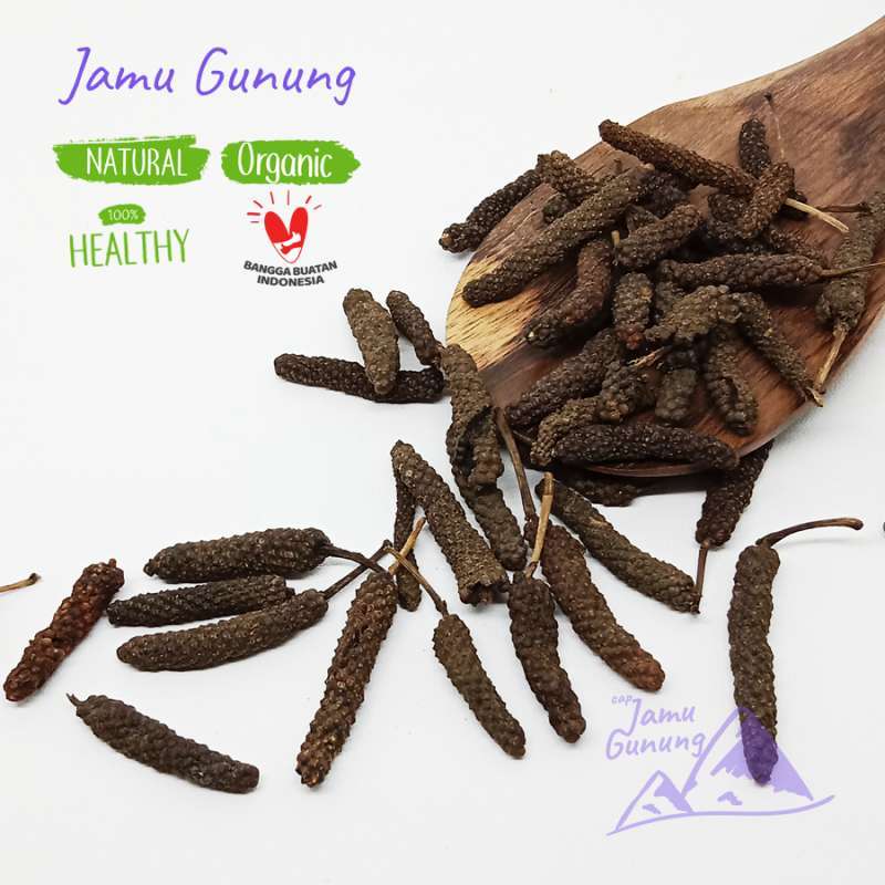Jual Cabai Jawa atau Cabe Puyang Kering 1kg - Obat Asam urat ...