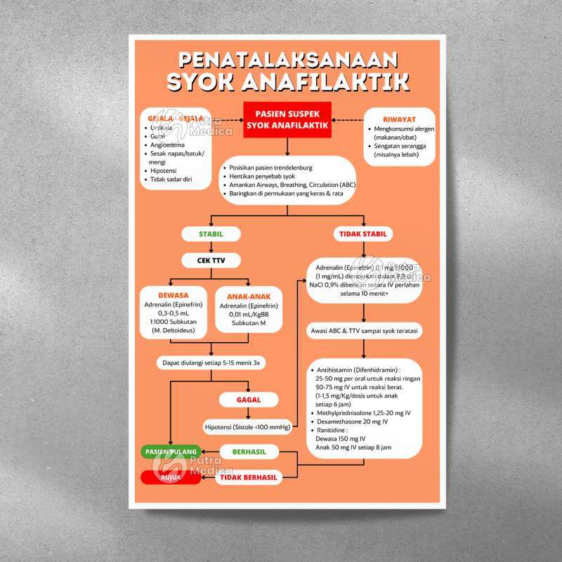 Jual Poster Kesehatan Penatalaksanaan Syok Anafilaktik A3+ / Gambar ...