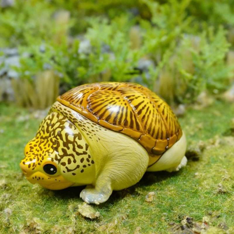 Promo LAUGH AND GROW FAT - TURTLES - CLAUDIUS ANGUSTATUS - LUTOFIA ...