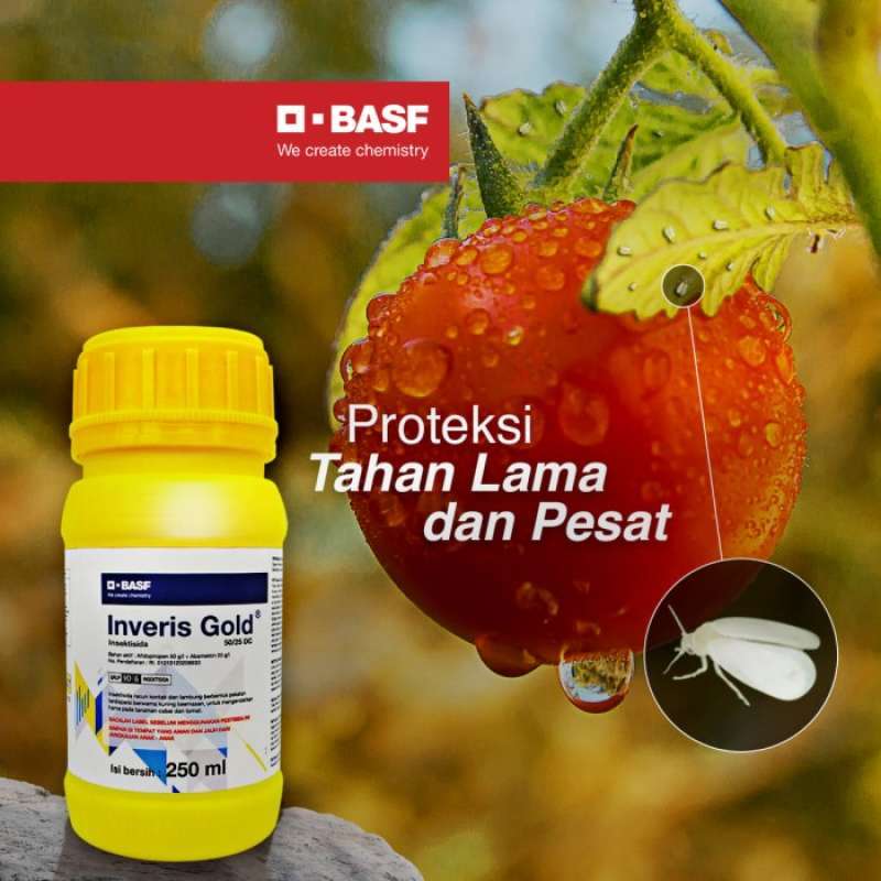 Promo Insektisida INVERIS GOLD 50/25 DC -250 ML obat Kutu Daun/Thrips ...