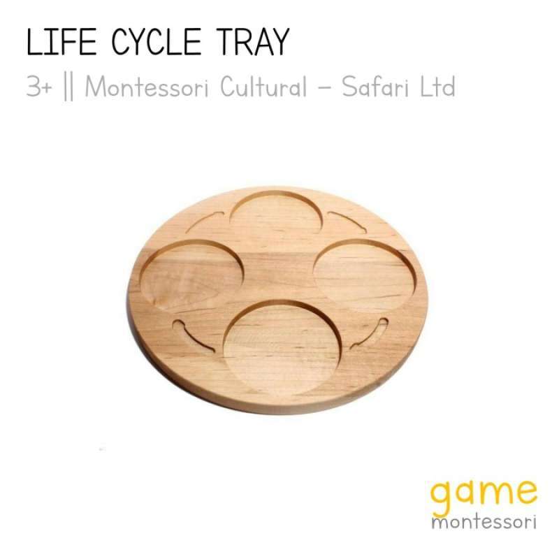 Promo Life Cycle Tray - Diskon 50% Di Seller Quasionstur - Meruya Utara ...