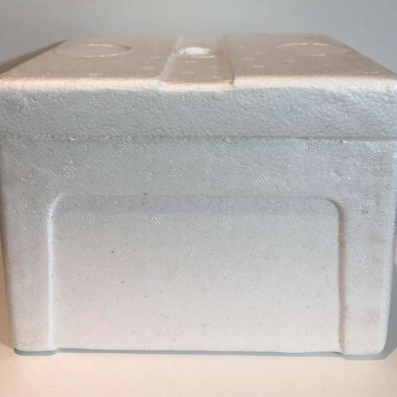 Jual Cooler Box Styrofoam Original Murah - Harga Diskon April 2024 ...