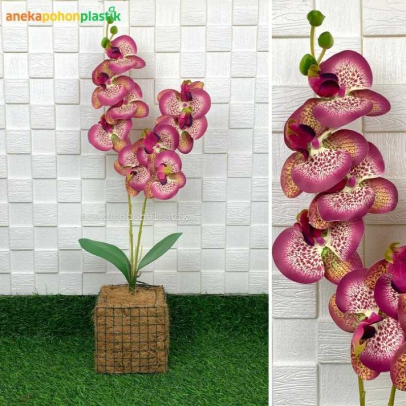 Promo Bunga Anggrek Bulan X2 Artificial Latex Vas Sabut Kelapa Tanaman ...