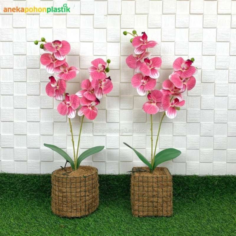 Promo Bunga Anggrek Bulan X2 Artificial Latex Vas Sabut Kelapa Tanaman ...