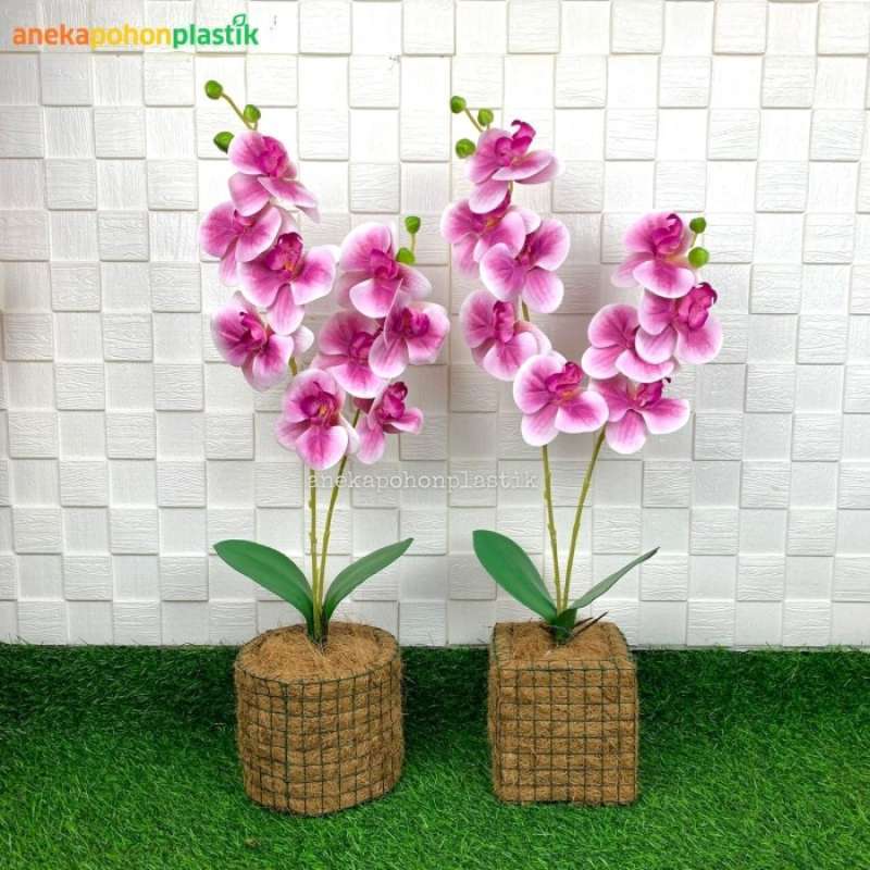 Promo Bunga Anggrek Bulan X2 Artificial Latex Vas Sabut Kelapa Tanaman ...