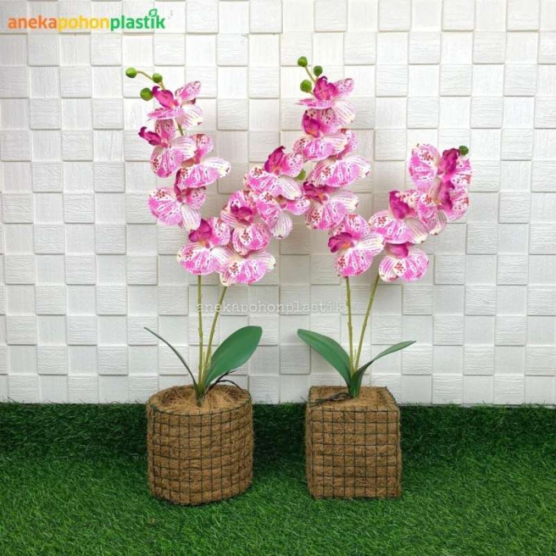 Promo Bunga Anggrek Bulan X2 Artificial Latex Vas Sabut Kelapa Tanaman ...