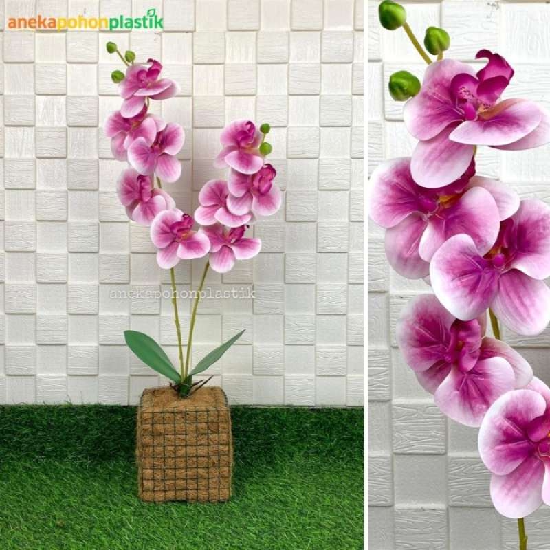 Promo Bunga Anggrek Bulan X2 Artificial Latex Vas Sabut Kelapa Tanaman ...