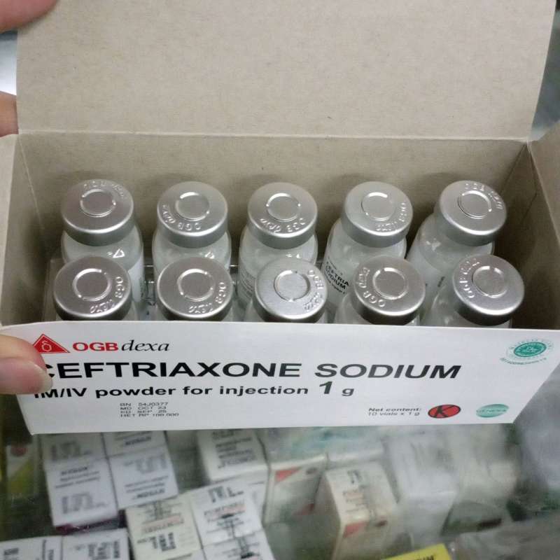 Injeksi Ceftriaxone Lengkap Harga Terbaru April 2024 | Blibli