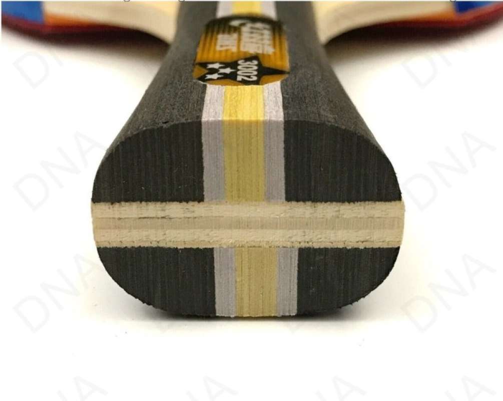 Promo Table Tennis Racket Dhs 3002 / Bat Tenis Meja Dhs 3002 - Original Diskon 9% Di Seller ...