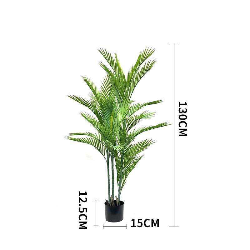 Jual Ceilo Pohon Palm Hias Jepang Meter | Tanaman Palm Hias | Tanaman ...