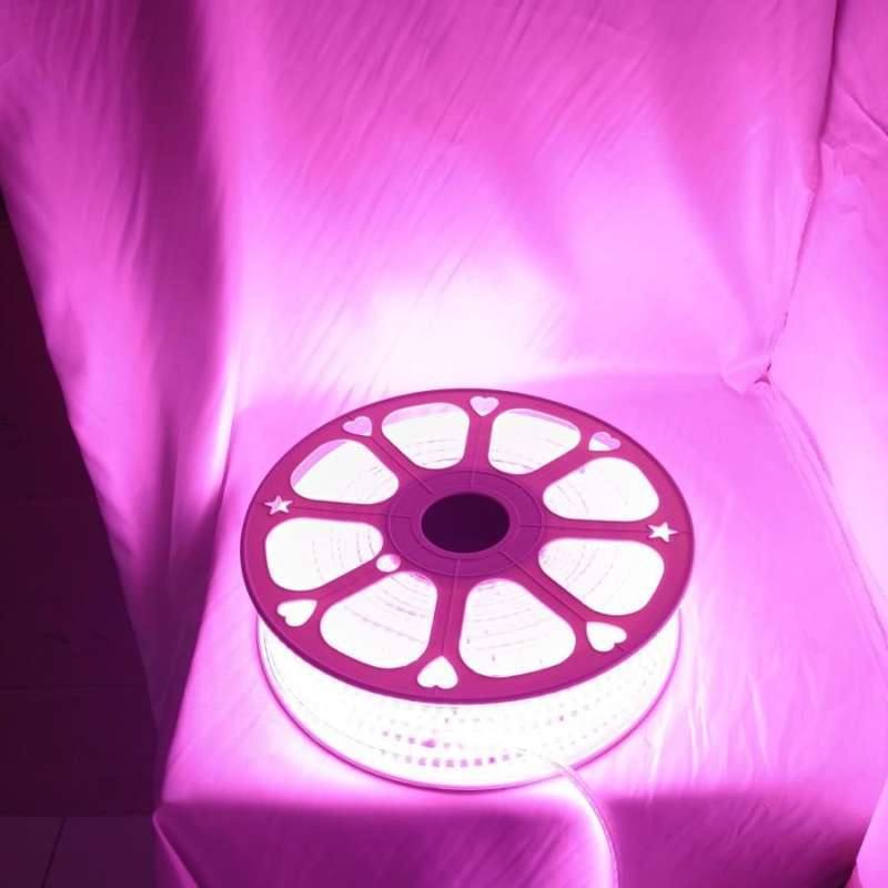 Jual Lampu Selang Led Strip 2835 120lp 1 Roll 100 Meter Ac 220v - Pink ...