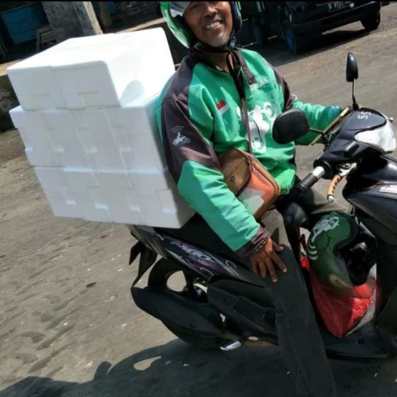 Promo Styrofoam Box/ Sterofoam Ikan Beku / Sterofoam Daging Beku / Cool ...