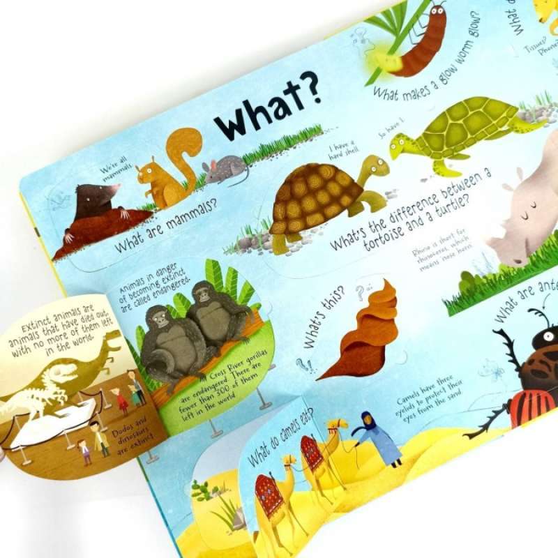 Promo Usborne Lift-the-flap Questions And Answers About Animals Diskon ...