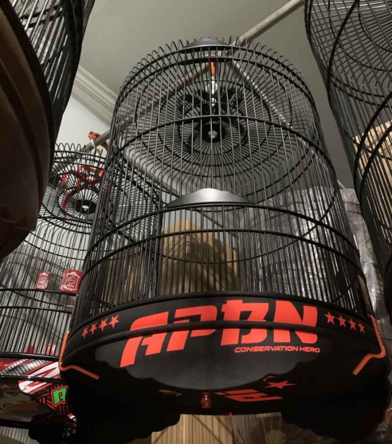 Promo Sangkar Kandang Murai Batu Ebod Jaya Apbn Baru No 1. Dim 59 Cm ...