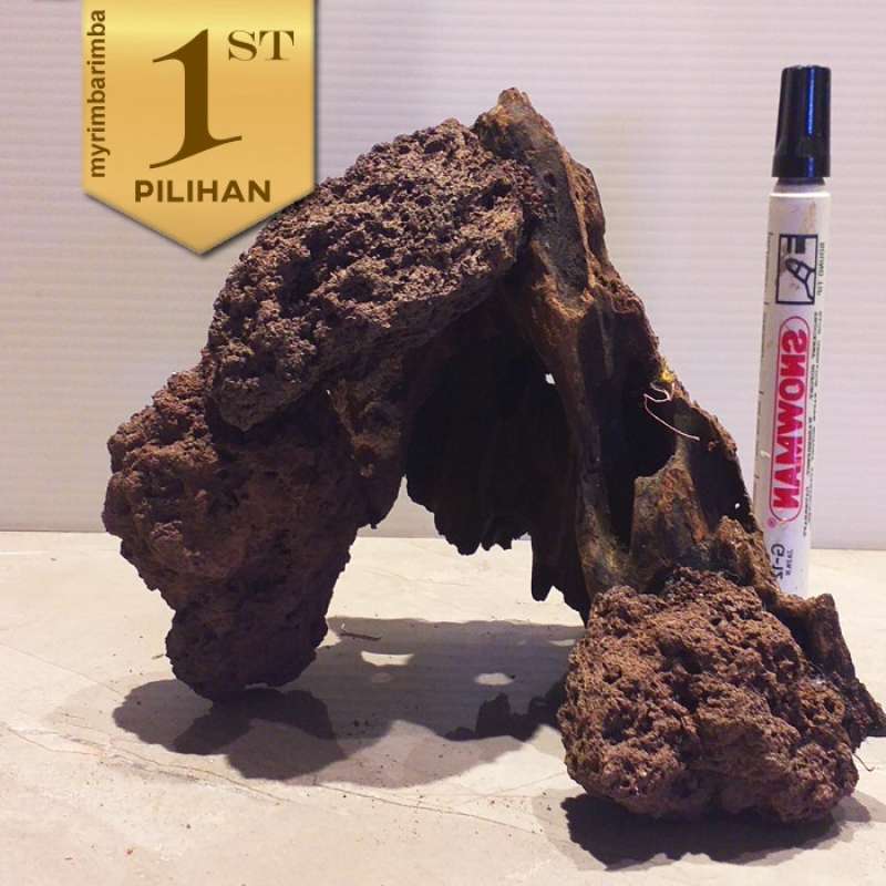 Jual Batu Kayu Dng Kolong / Goa Hiasan Aquarium Tanaman Air Aquascape ...