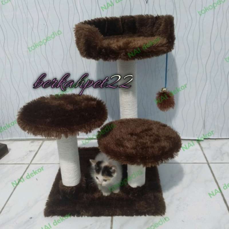 Jual Cakaran Kucing Kitten 3 Tiang Sofa - Cream Di Seller Aghanim ...
