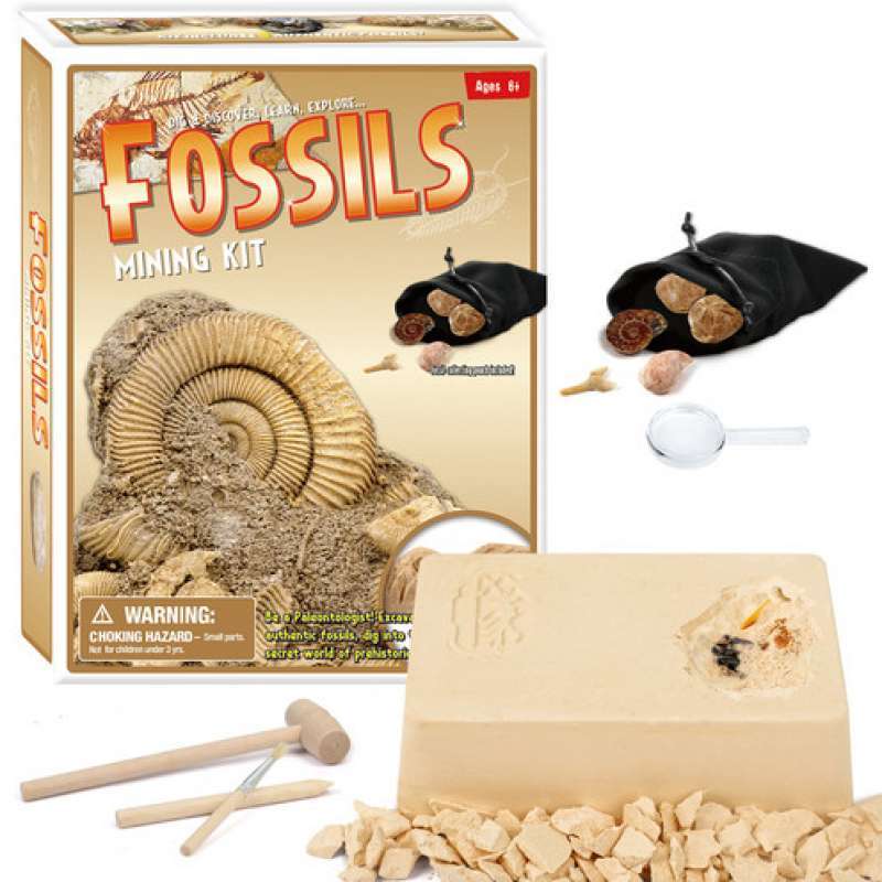 Promo Mainan Arkeolog Digging Toys Fossils Mining Kit Fosil Harta Karun 174 Diskon 23% Di Seller ...