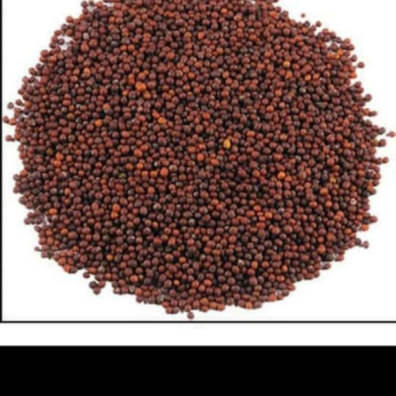 Promo Black Mustard Seed/ Biji Sawi Import 1 Kg Diskon 23% Di Seller My ...