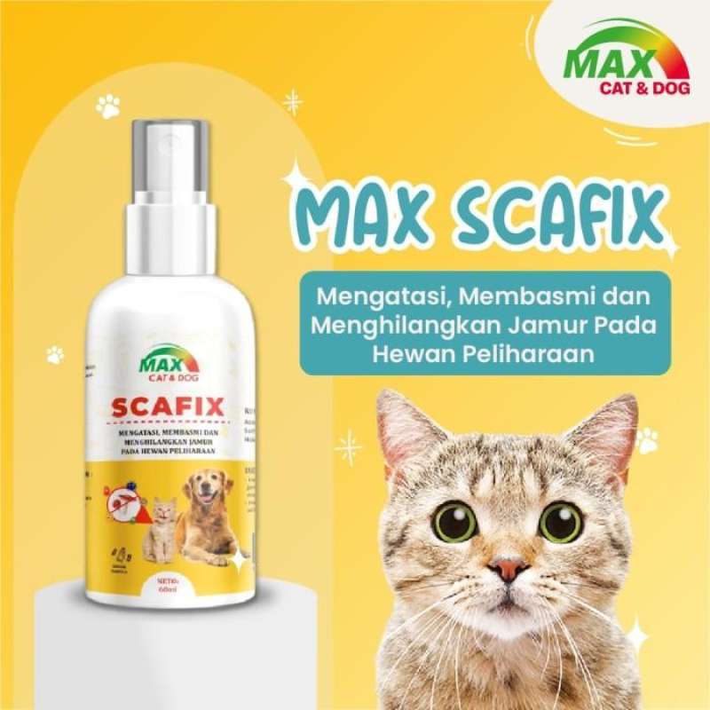 Jual Max Scafix 60ml - Anti Jamur Kucing Di Seller Kage Petshop ...