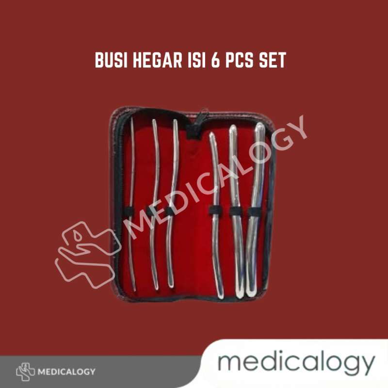 Jual Busi Hegar Isi 6 Pcs Set Businasi Hegar Uterine Dilator Di Seller ...