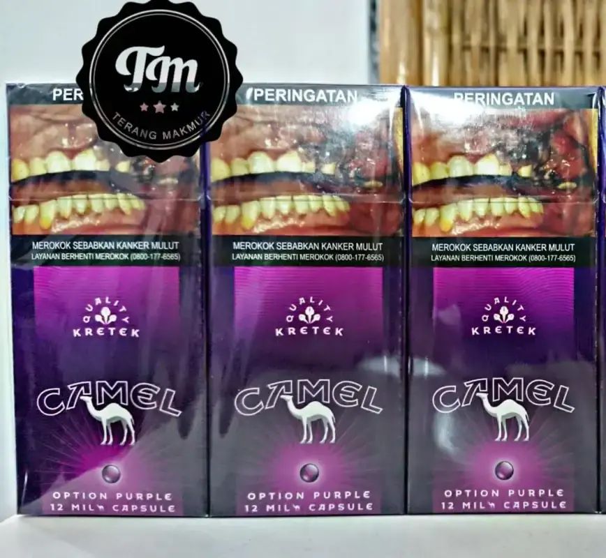 Camel Purple 12 Bungkus 🔥 Harga Grosir Mei 2026