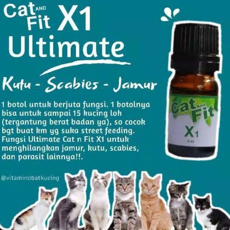 Promo Obat Kucing Cat And Fit X1 Ultimate Untuk Kutu Jamur Scabies ...