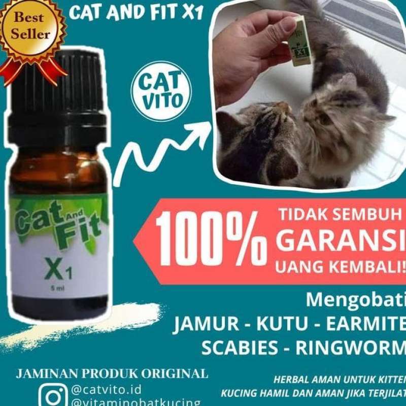 Promo Obat Kucing Cat And Fit X1 Ultimate Untuk Kutu Jamur Scabies ...