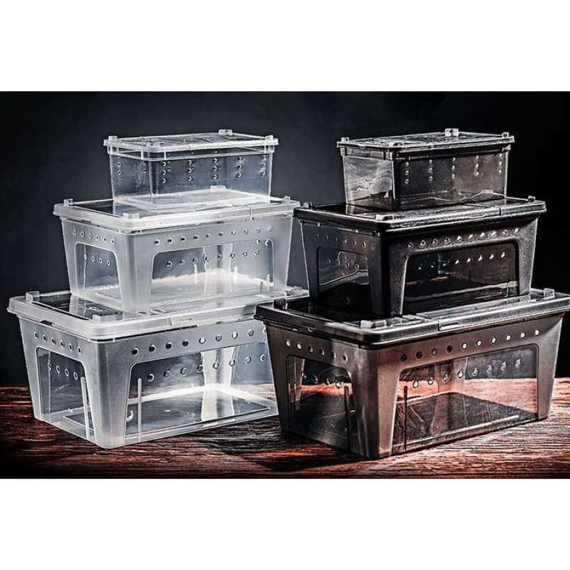 Promo Kandang Tarantula Enclosure Tarantula Box Reptil L 32x22x15cm ...