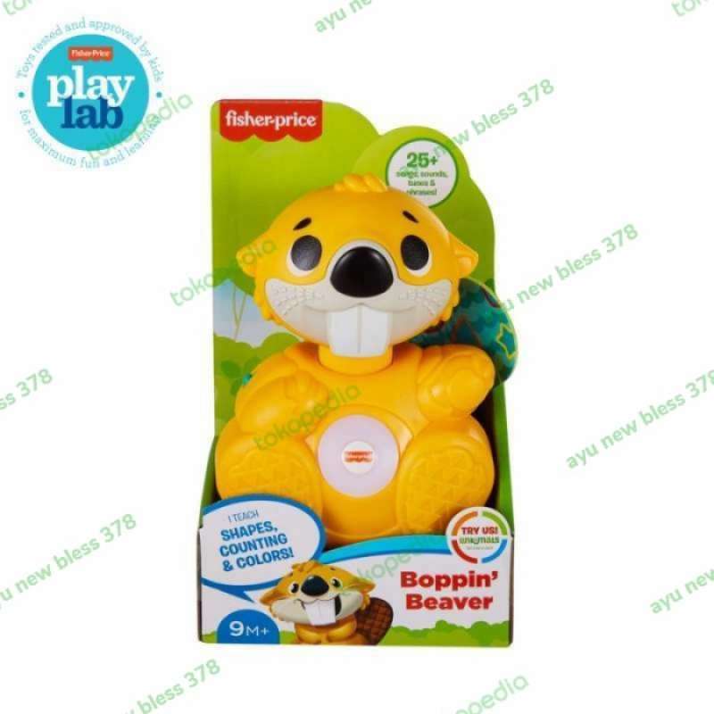 Promo Fisher-Price Linkimals Boppin Beaver Light-Up Musical Activity ...