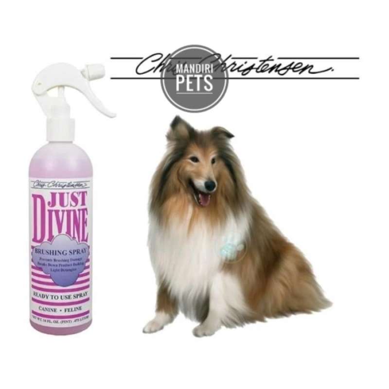 Promo Chris Christensen Just Divine Brushing Spray Diskon 23% di Seller ...