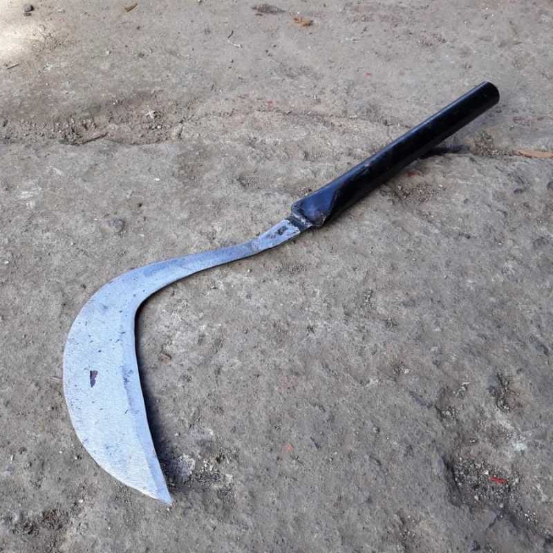 Jual Arit Panjang Pemotong Rumput Original Murah - Harga Diskon Agustus ...