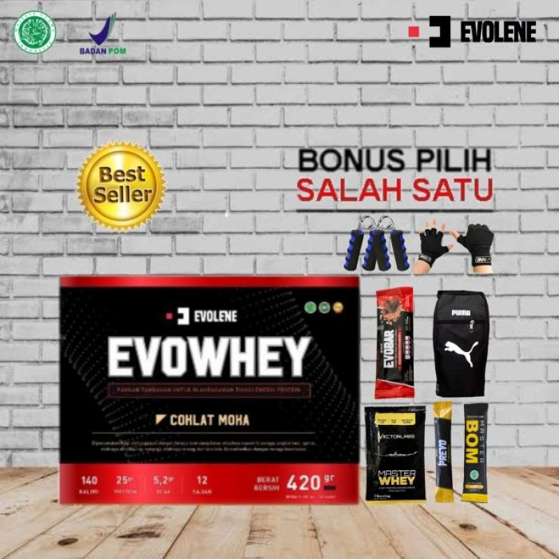 Promo evolene whey protein cokelat hazelnut 12 serving / evowhey ...