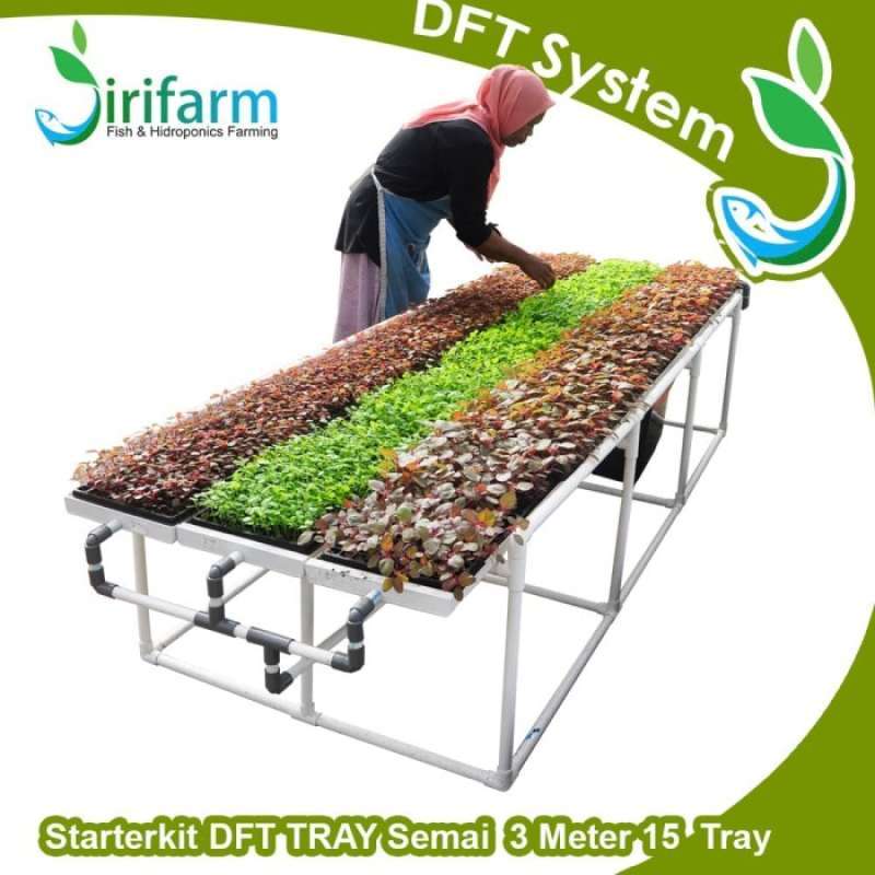 Jual Jirifarm Paket Rak Semai Sirkulasi 3 Meter Dft 15 Tray Semai Di ...