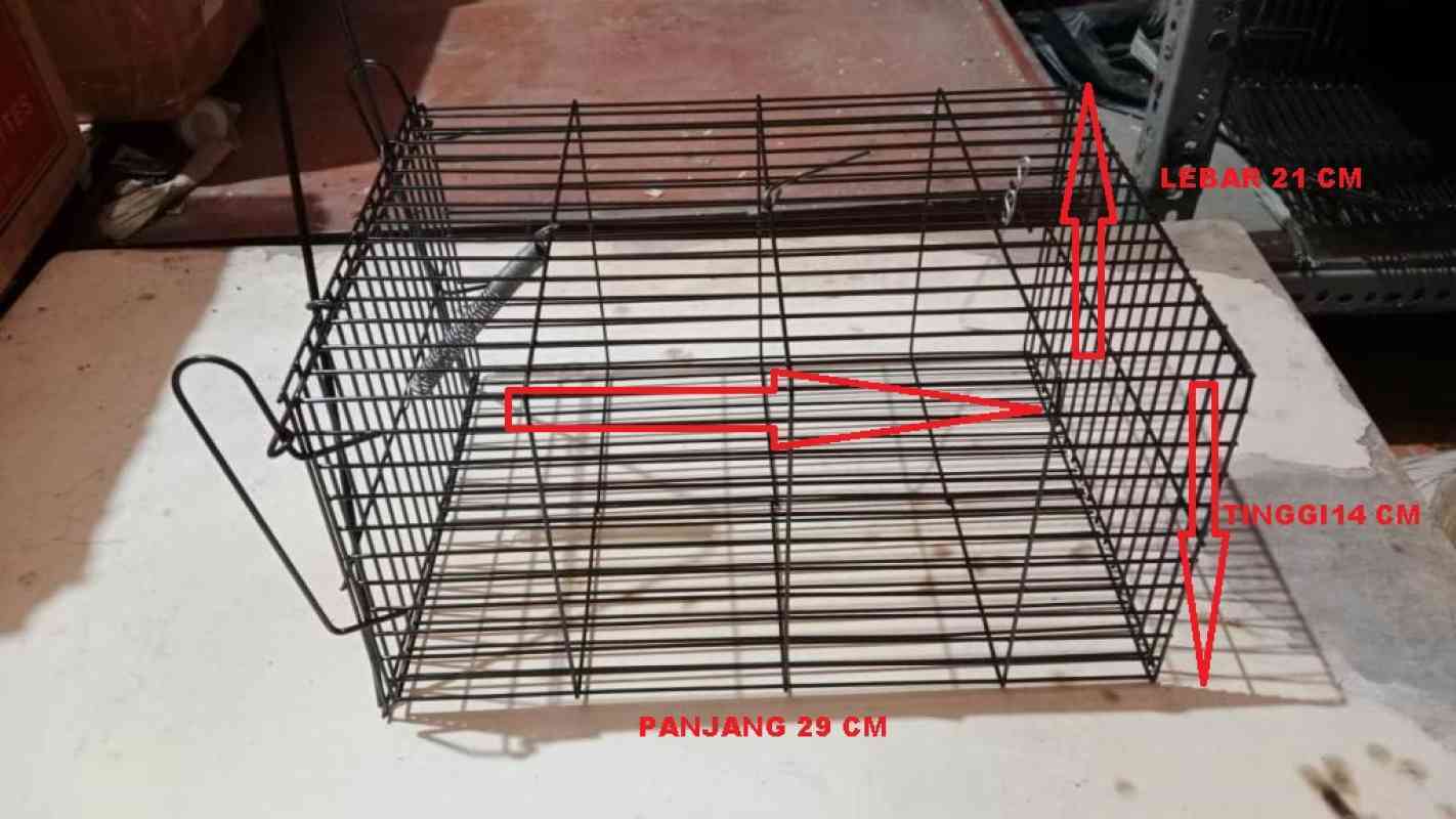 Jual PERANGKAP TIKUS JUMBO UKURAN BESAR JEBAKAN TIKUS DENGAN KAWAT BAJA ...