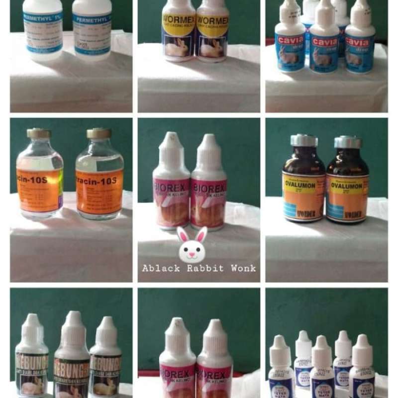 Promo Intracin-10s 50 Ml (obat Pembantu Dan Mempermudah Hewan ...