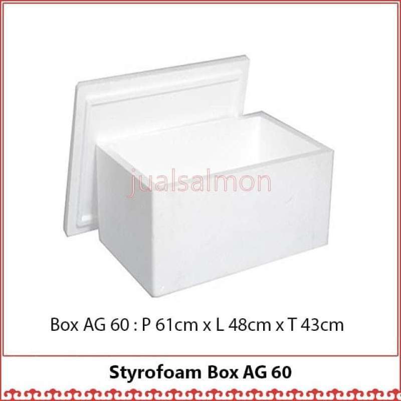 Promo Promo Styrofoam Box Ag 60/box Styrofoam Besar/ice Box 40 Kg/box ...
